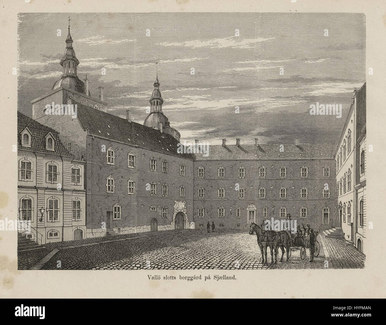 'Nordiska taflor' is a 19th-century Swedish botanical illustration ...