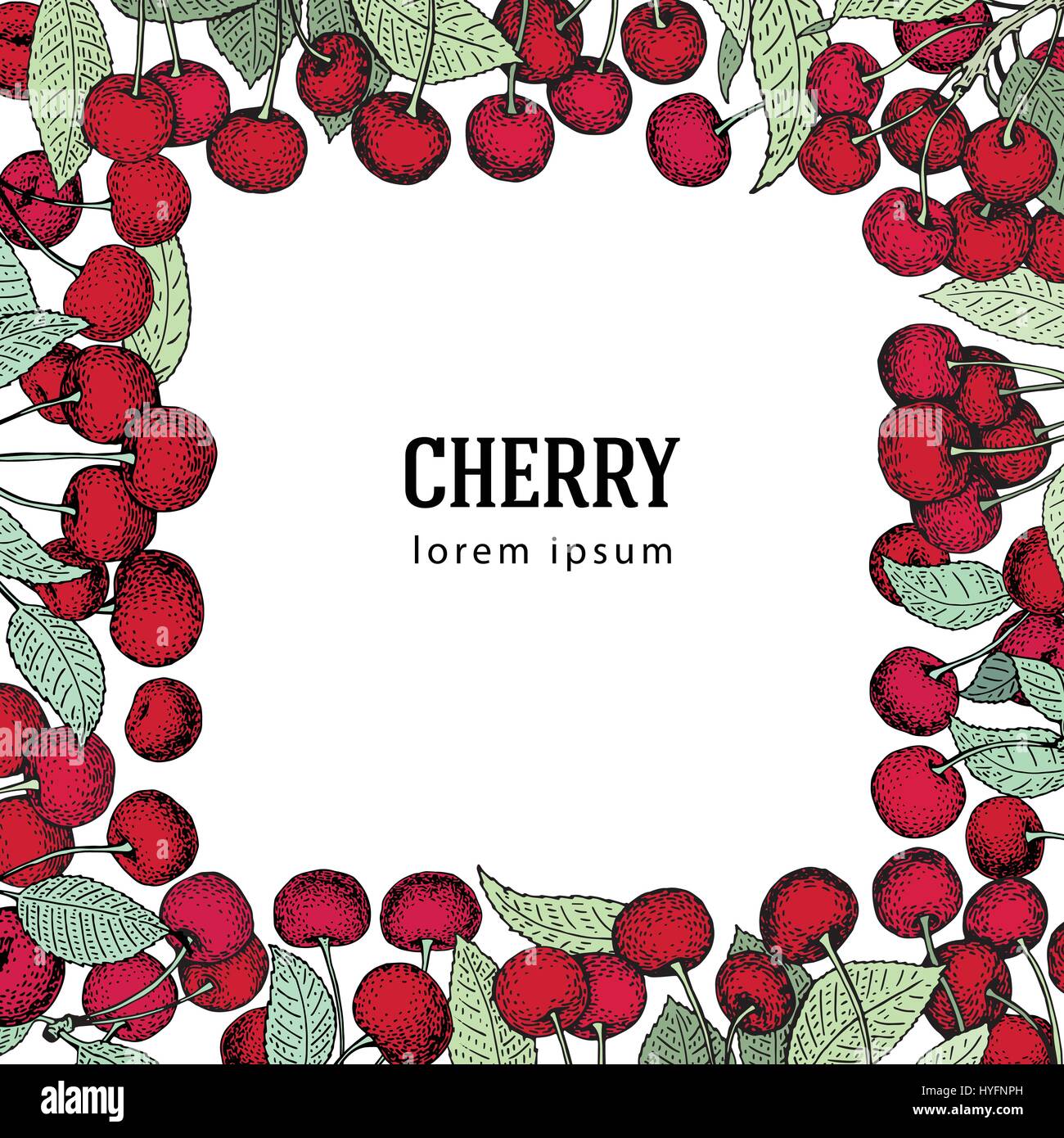 vector cherry frame Can be use for background, packaging, design ...