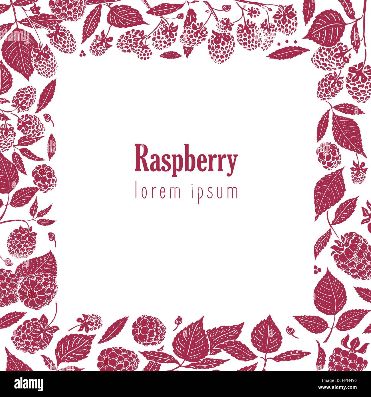 vector raspberry frame. Can be use for background, design, invitation ...