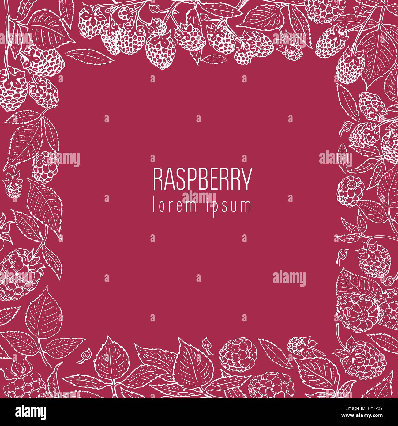 vector raspberry frame. Can be use for background, design, invitation ...