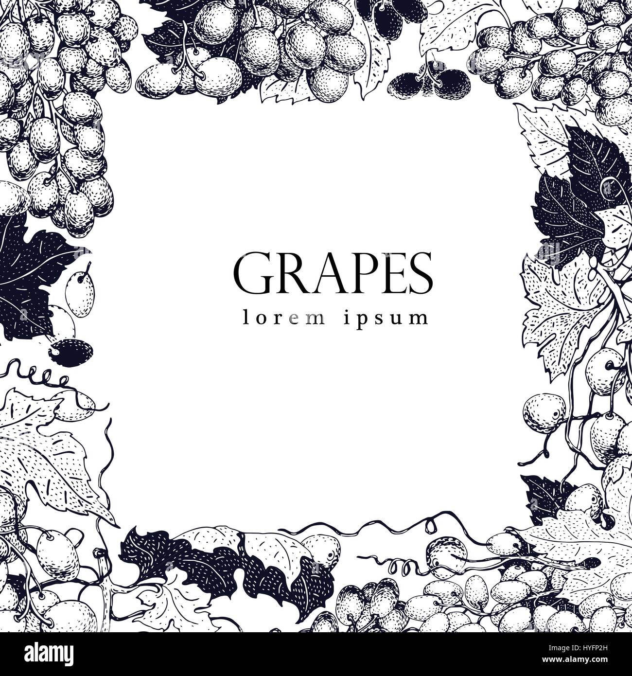 vector grape frame. Can be use for background, design, invitation ...