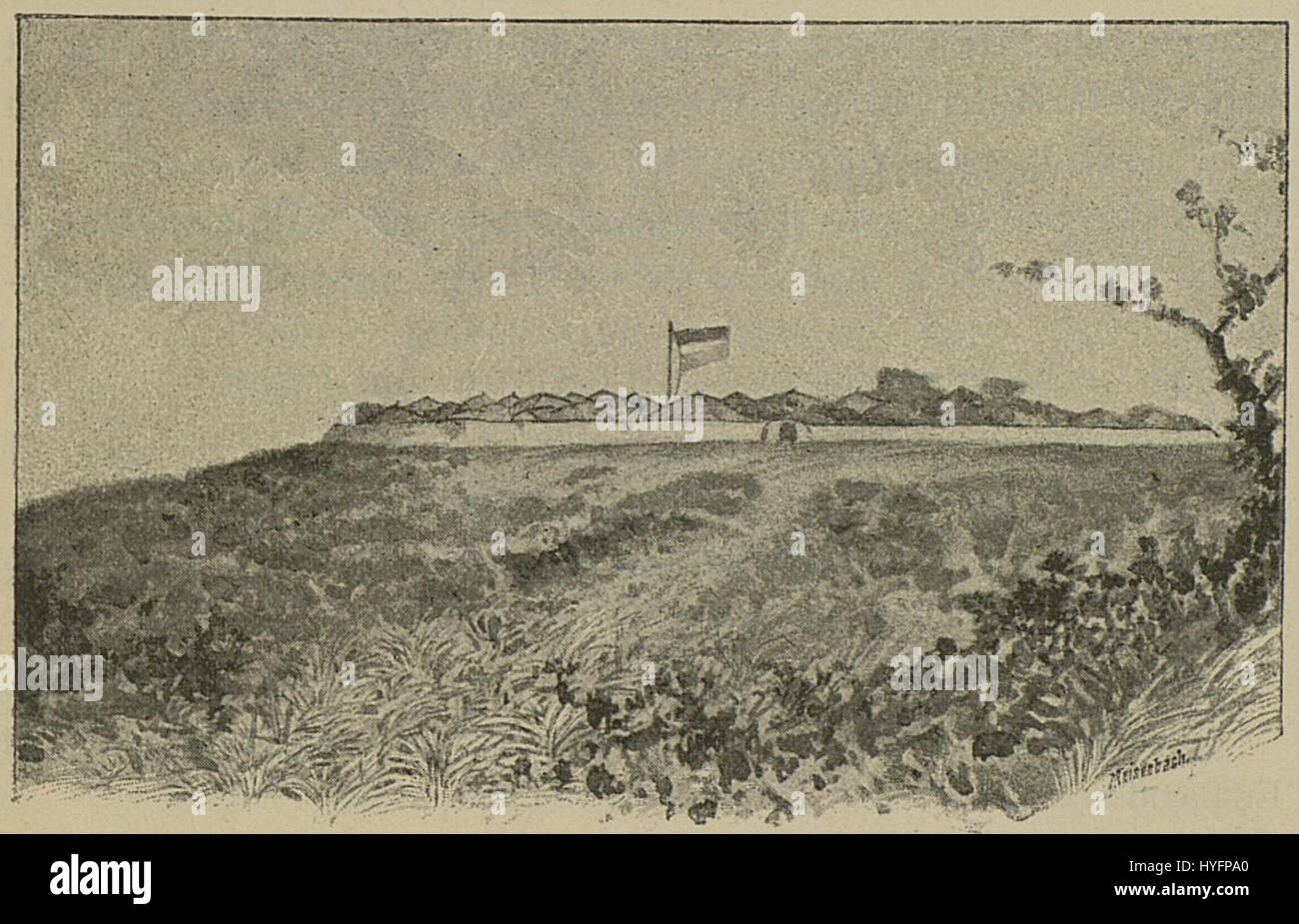 'Den tyske Emin Pascha Expedition' refers to the German-led expedition ...