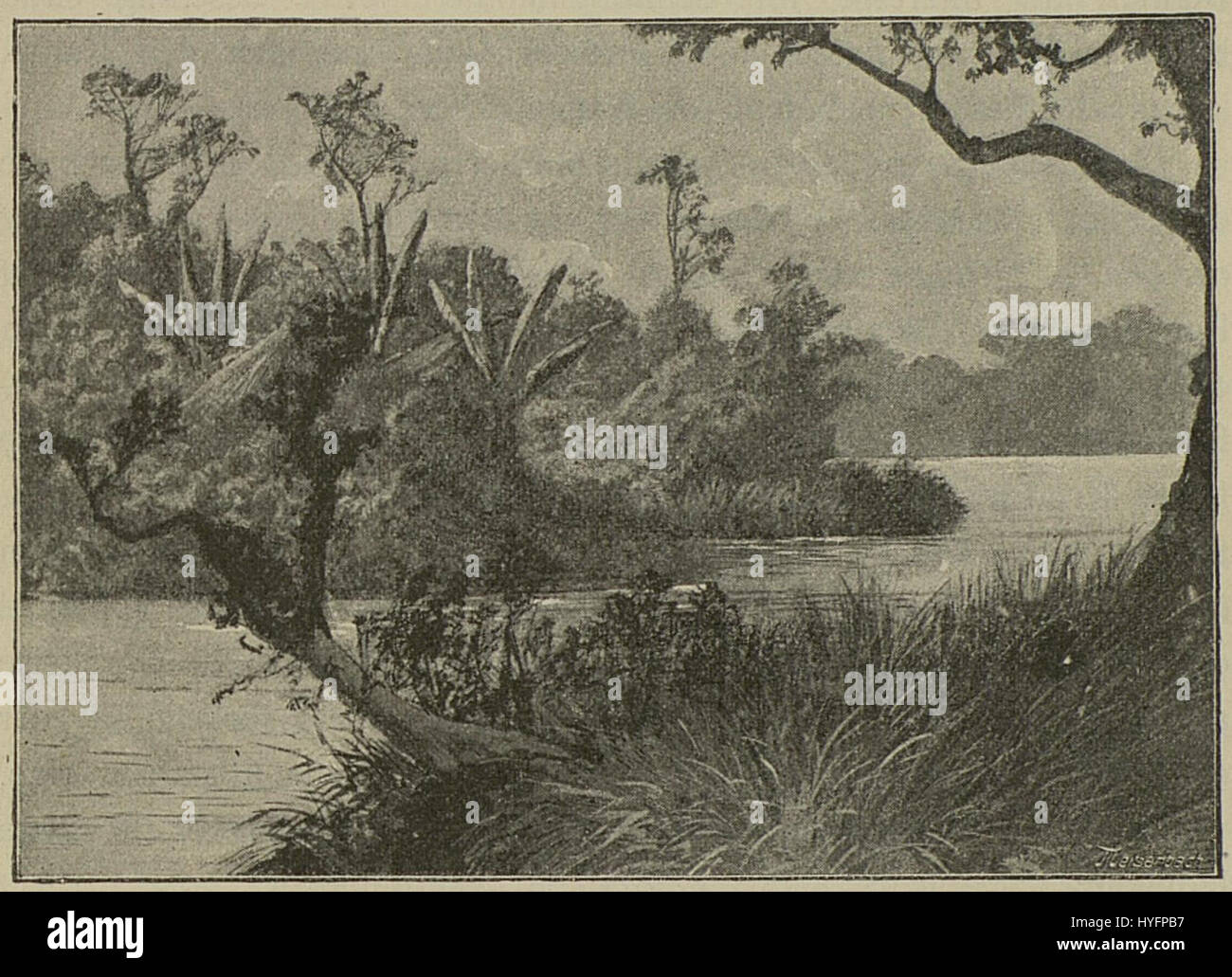 The 'Den tyske Emin Pascha Expedition' refers to the German expedition ...