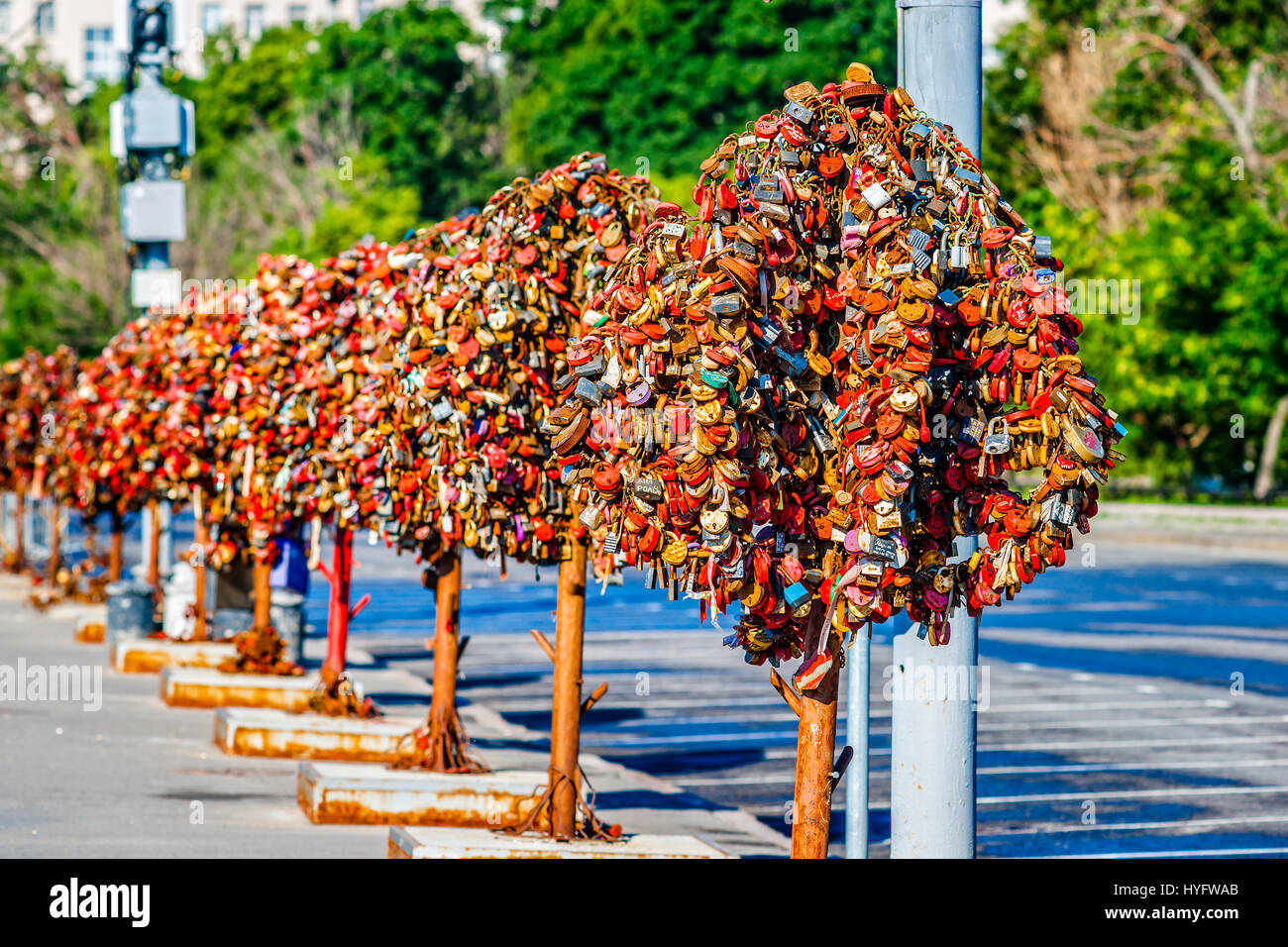 Alley of iron trees with leaves made of wedding padlocks. The tradition ...