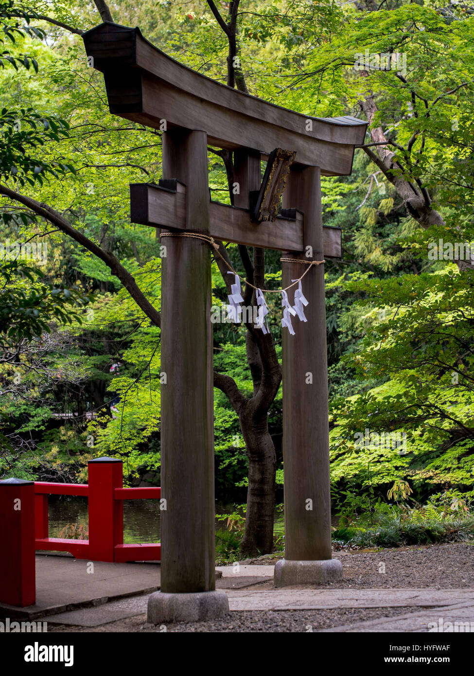 Shimenawa sacred twists of ricestraw rope hi-res stock photography and ...