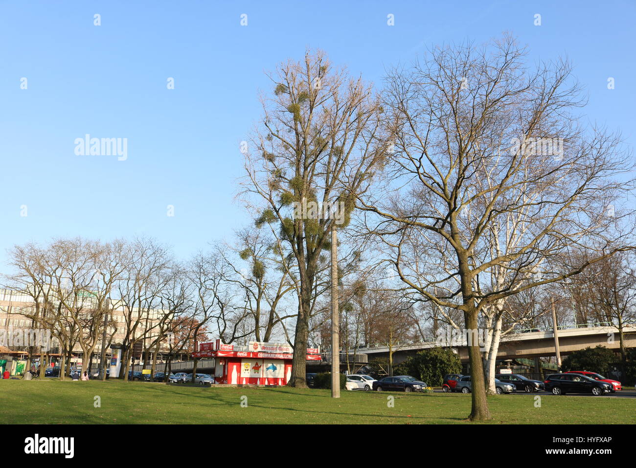 Trees Naturephotos High Resolution Stock Photography and Images - Alamy