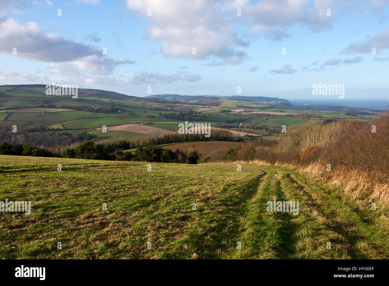 Brendon hills somerset hi-res stock photography and images - Alamy