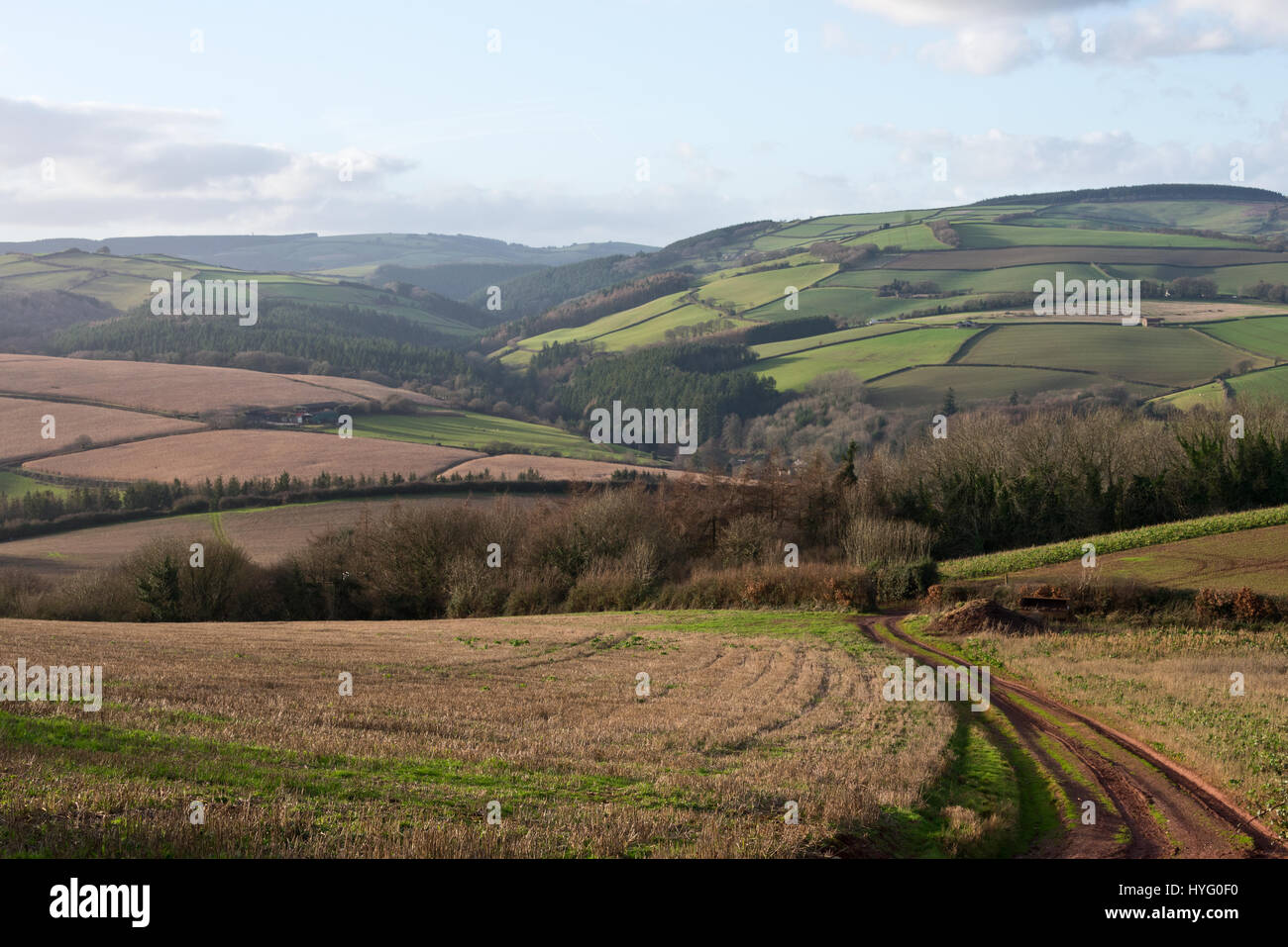 The view from the hills above Nettlecombe looking wetwards across the ...