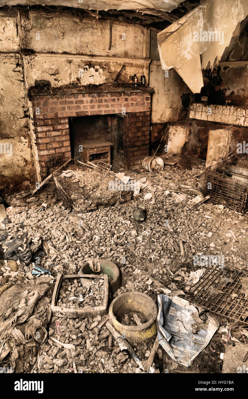 LICHFIELD, UK: Layer of dog and cat faeces. THE MYSTERIOUS and decrepit ...