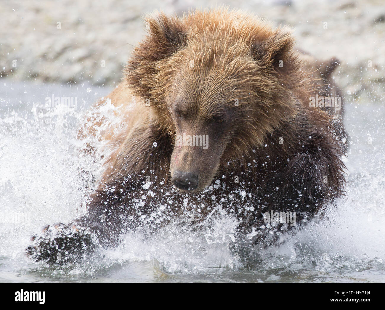 Lake clark air hi-res stock photography and images - Alamy