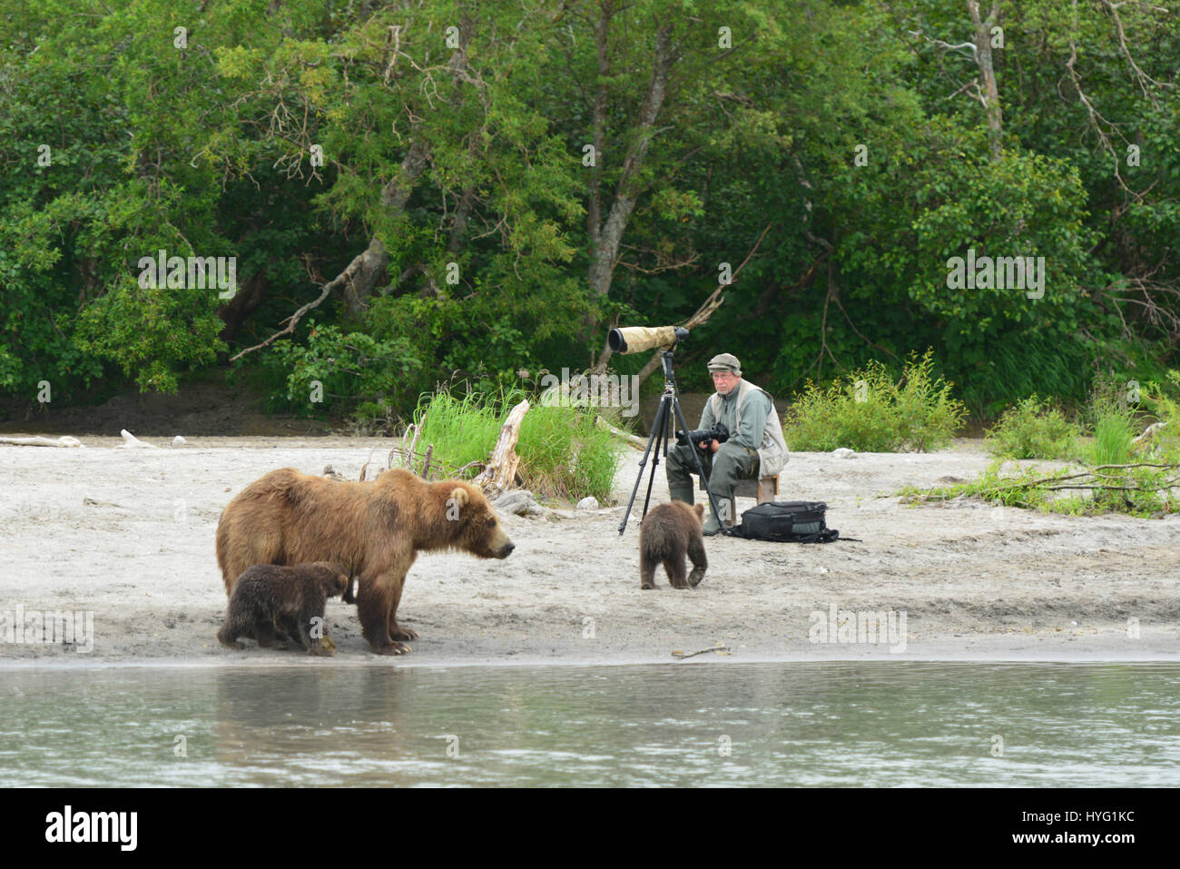 KRONOTSKY, RUSSIA: A PO-FACED photographer got more than he bargained ...