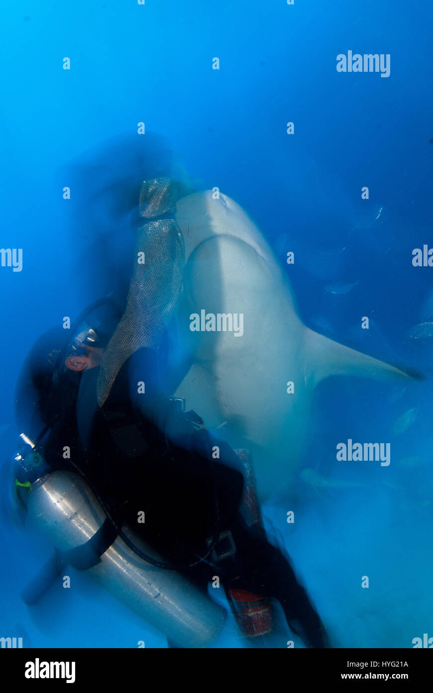 Feet Whisperer High Resolution Stock Photography and Images - Alamy