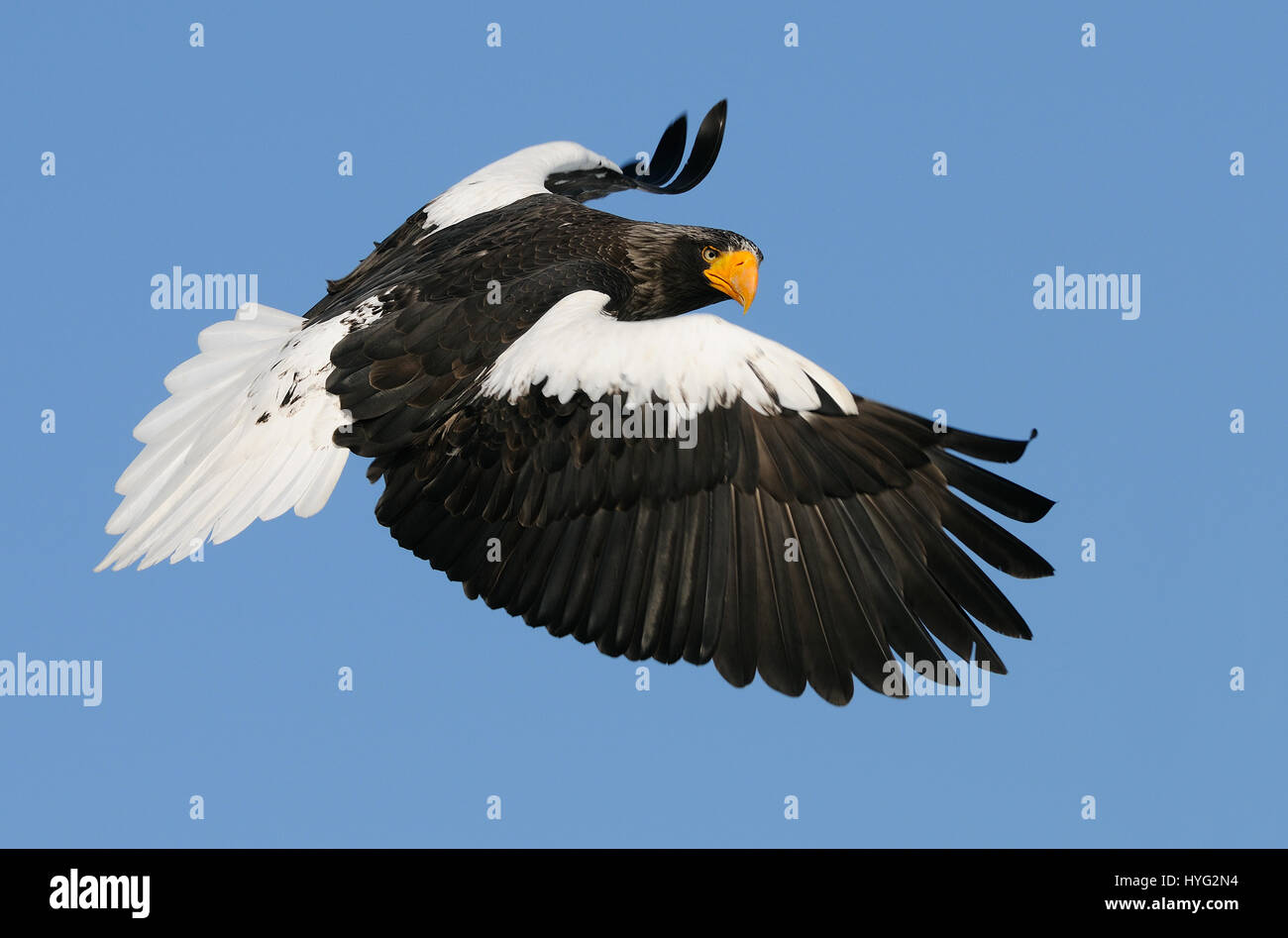 Nemuro Strait High Resolution Stock Photography and Images - Alamy