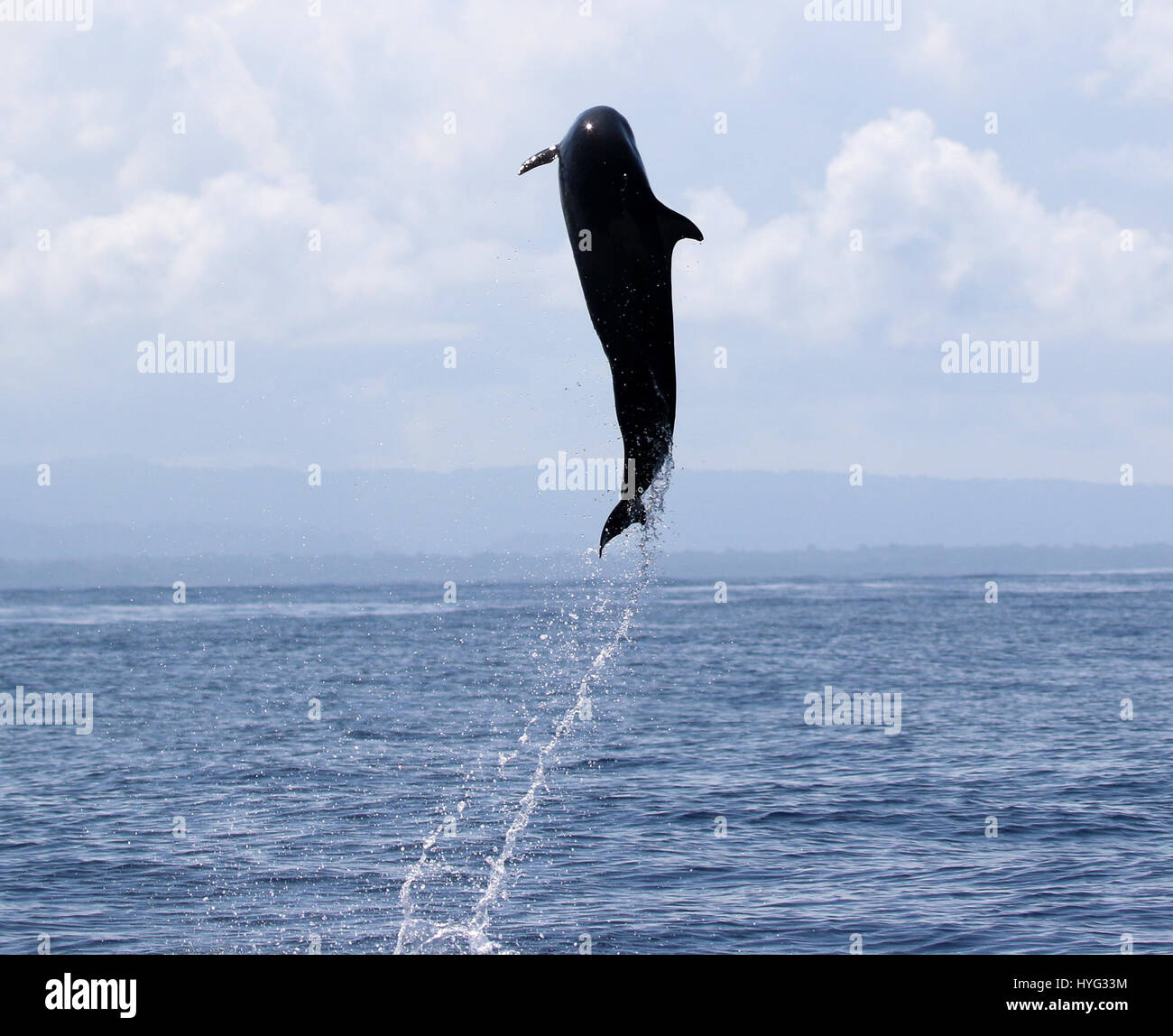 Snapped fish hi-res stock photography and images - Alamy