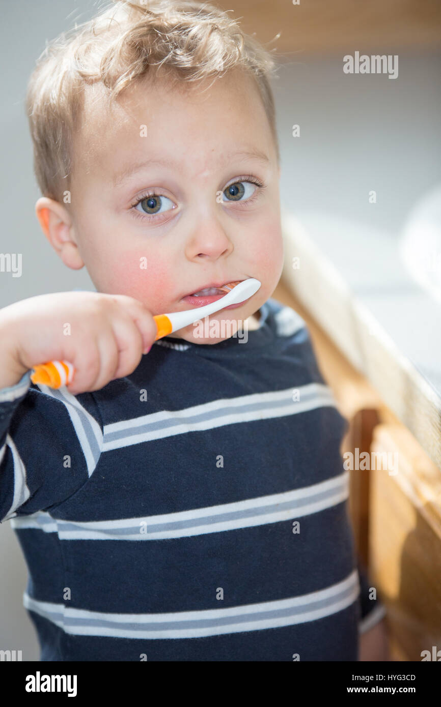 One little toddler boy brushing his teeth Stock Photo - Alamy