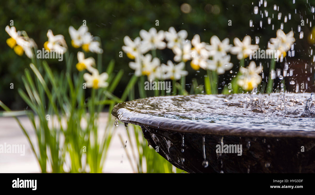 Cornish natural spring water hi-res stock photography and images - Alamy