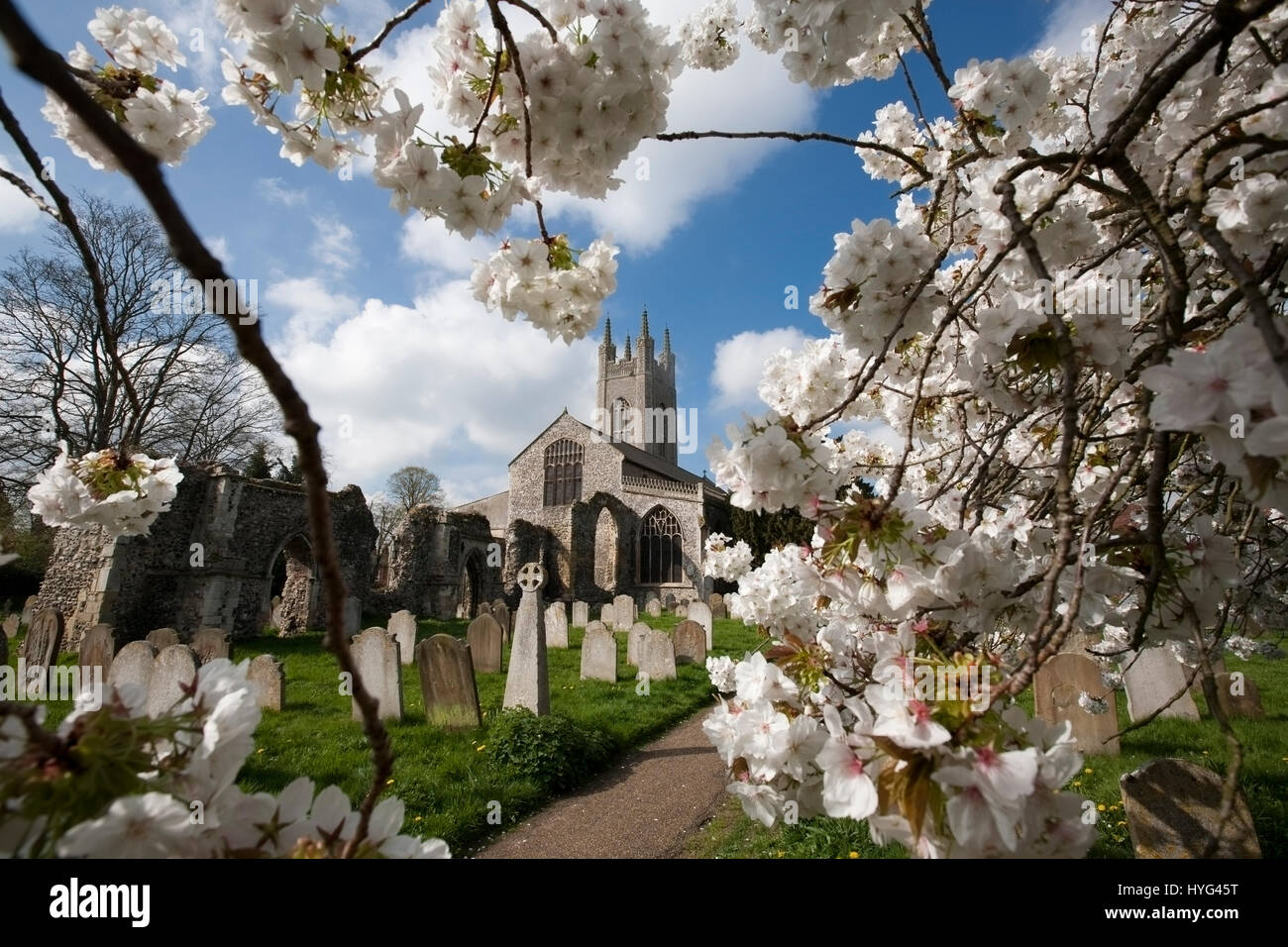St Mary's Church Bungay Suffolk Stock Photo - Alamy