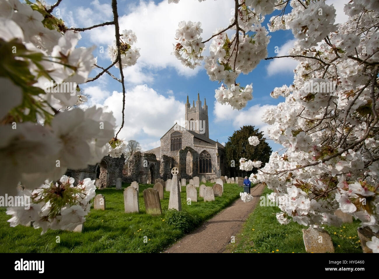 St Mary's Church Bungay Suffolk Stock Photo - Alamy