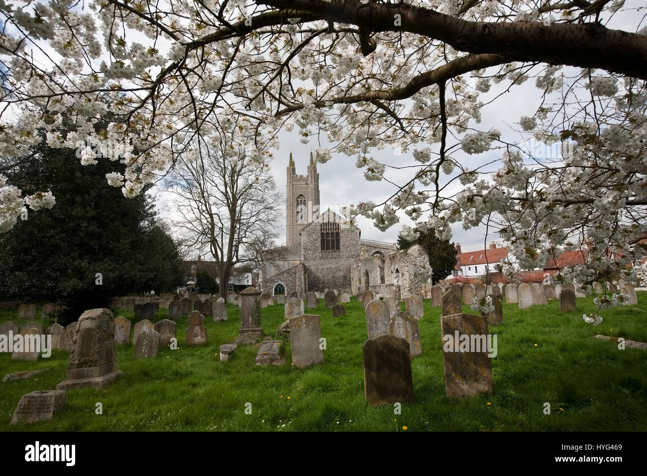 St Mary's Church Bungay Suffolk Stock Photo - Alamy