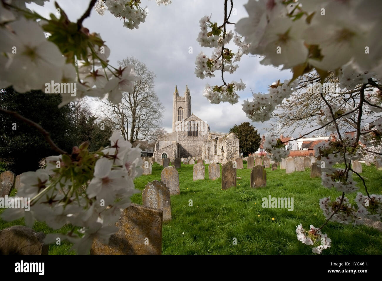 St Mary's Church Bungay Suffolk Stock Photo - Alamy