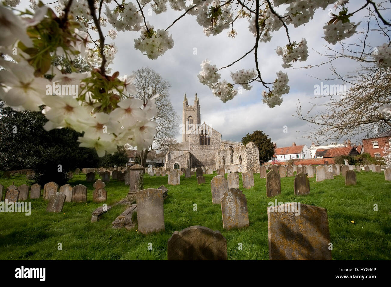 St Mary's Church Bungay Suffolk Stock Photo - Alamy