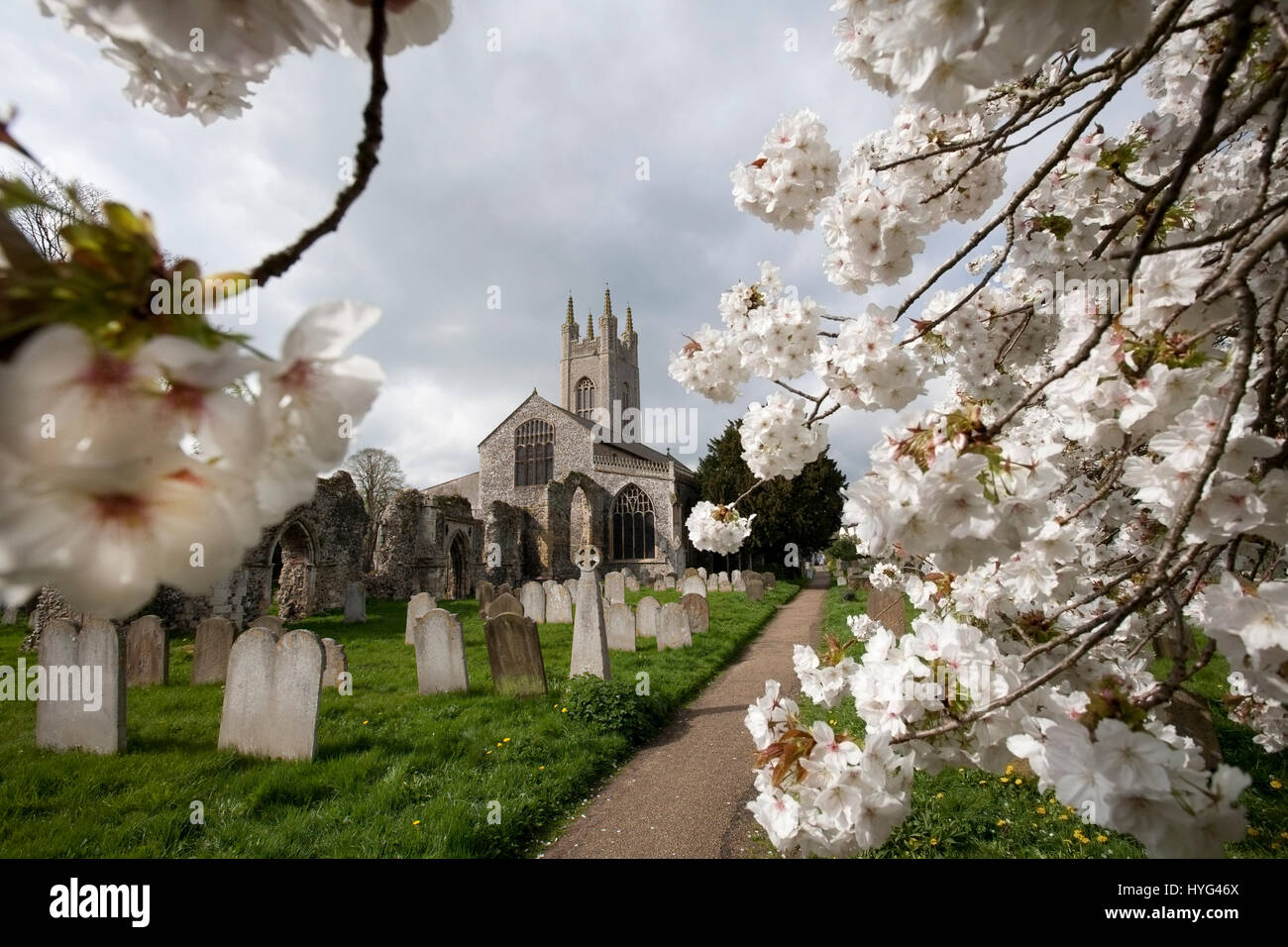 St Mary's Church Bungay Suffolk Stock Photo - Alamy
