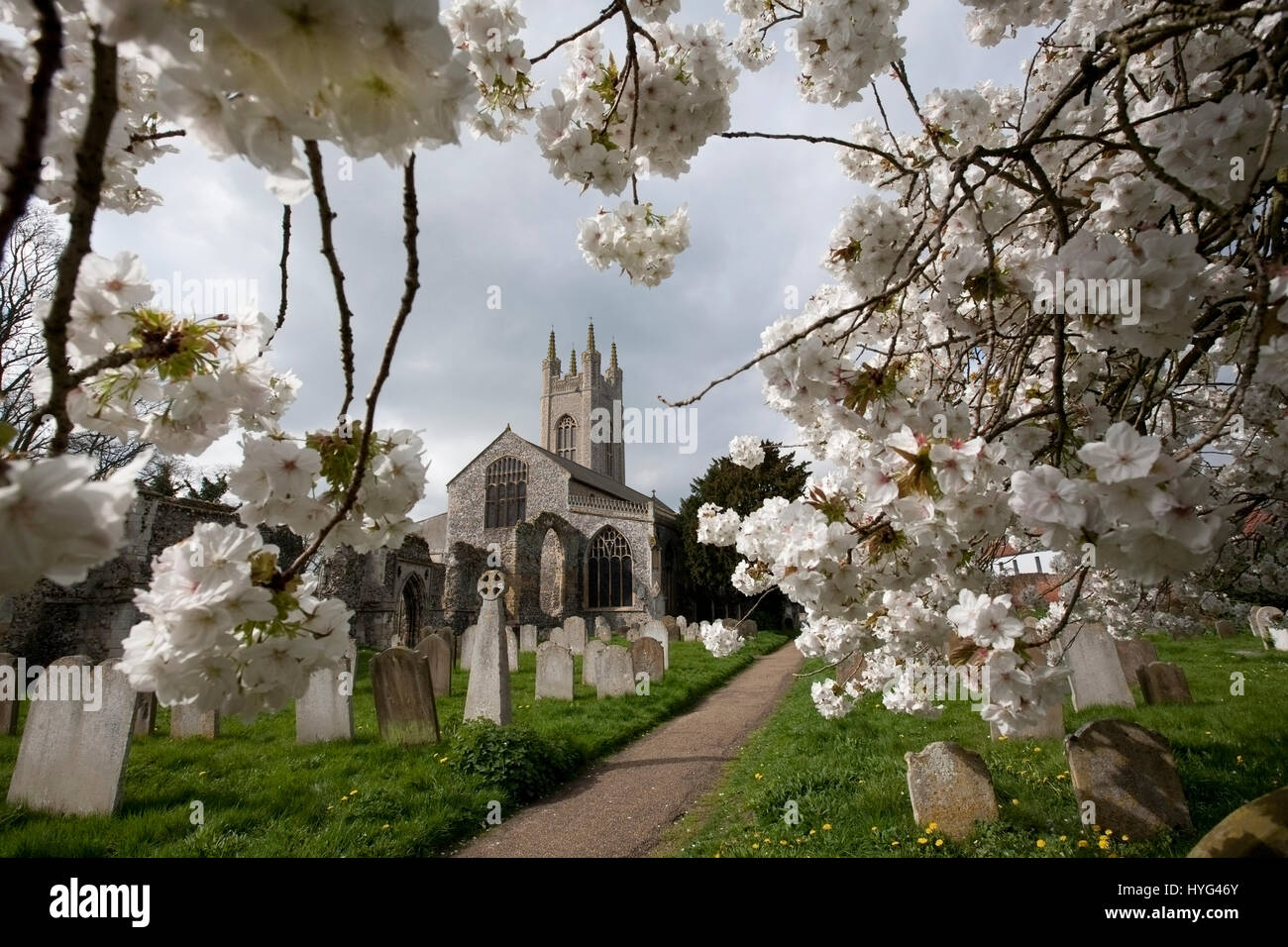 St Mary's Church Bungay Suffolk Stock Photo - Alamy