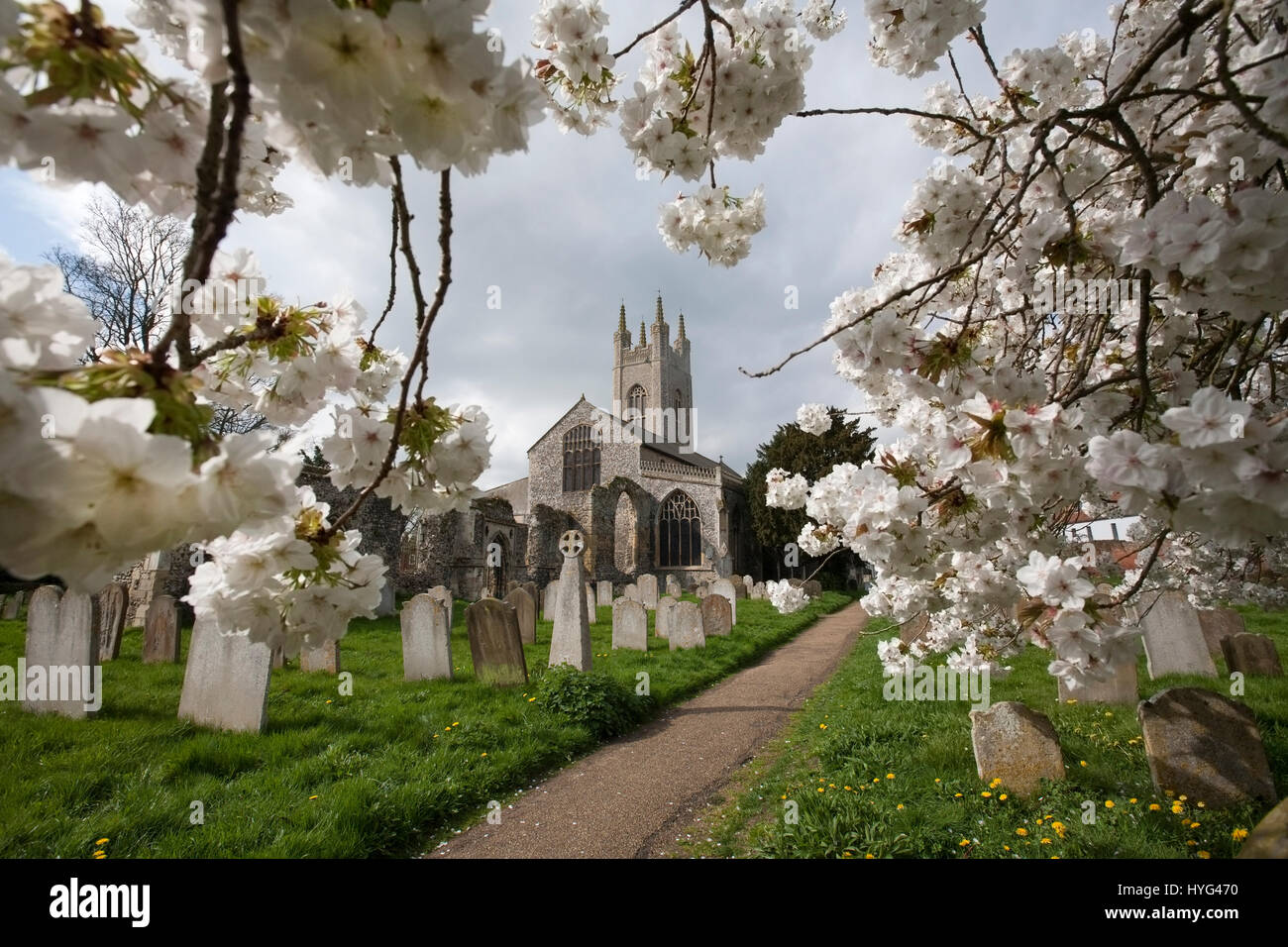 St Mary's Church Bungay Suffolk Stock Photo - Alamy