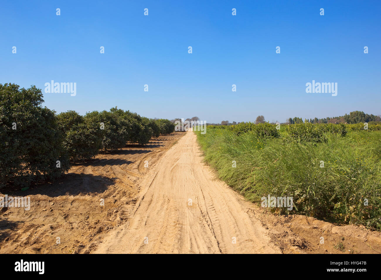 Sandy track hi-res stock photography and images - Alamy