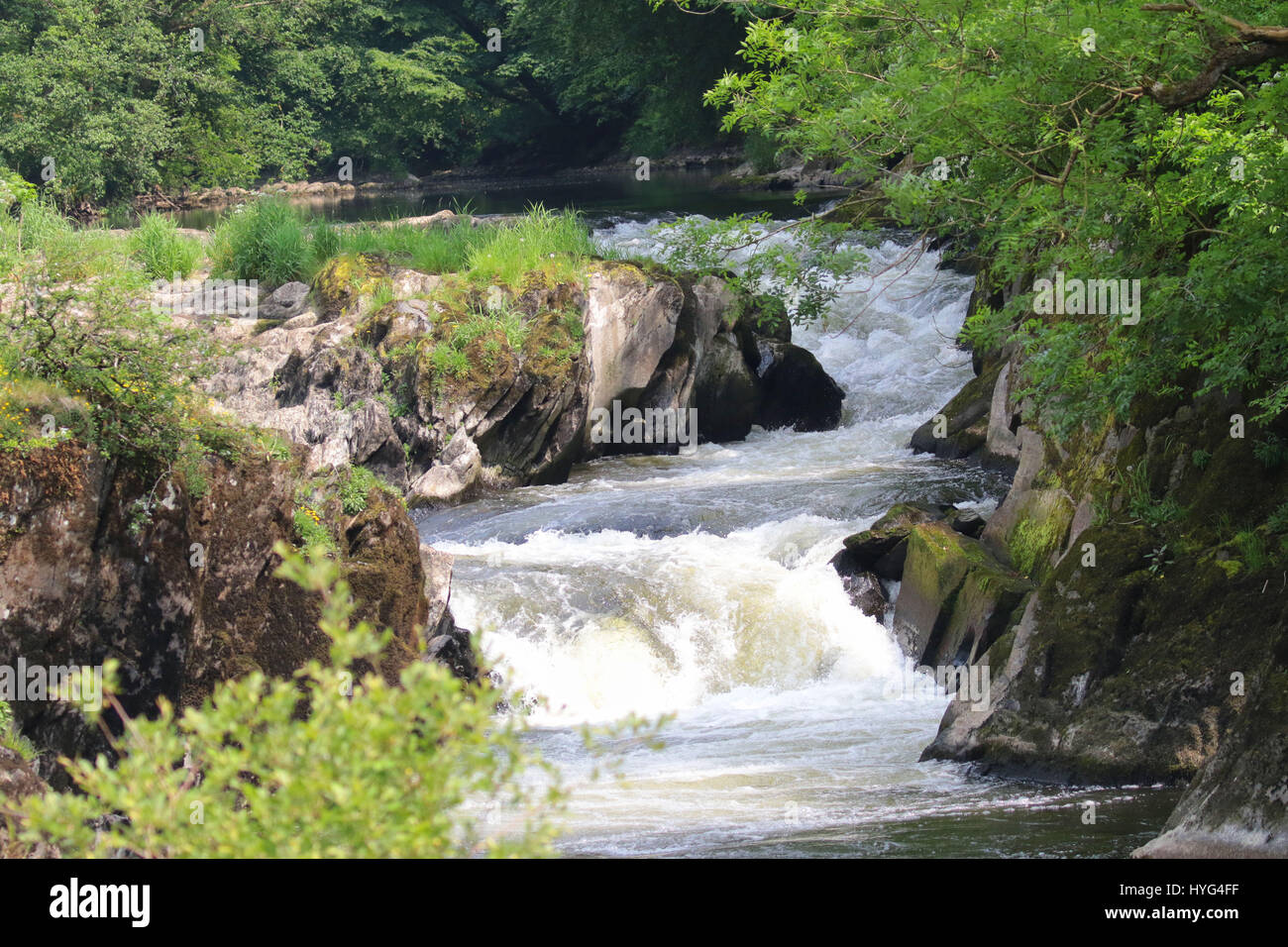 Cenarth falls hi-res stock photography and images - Alamy