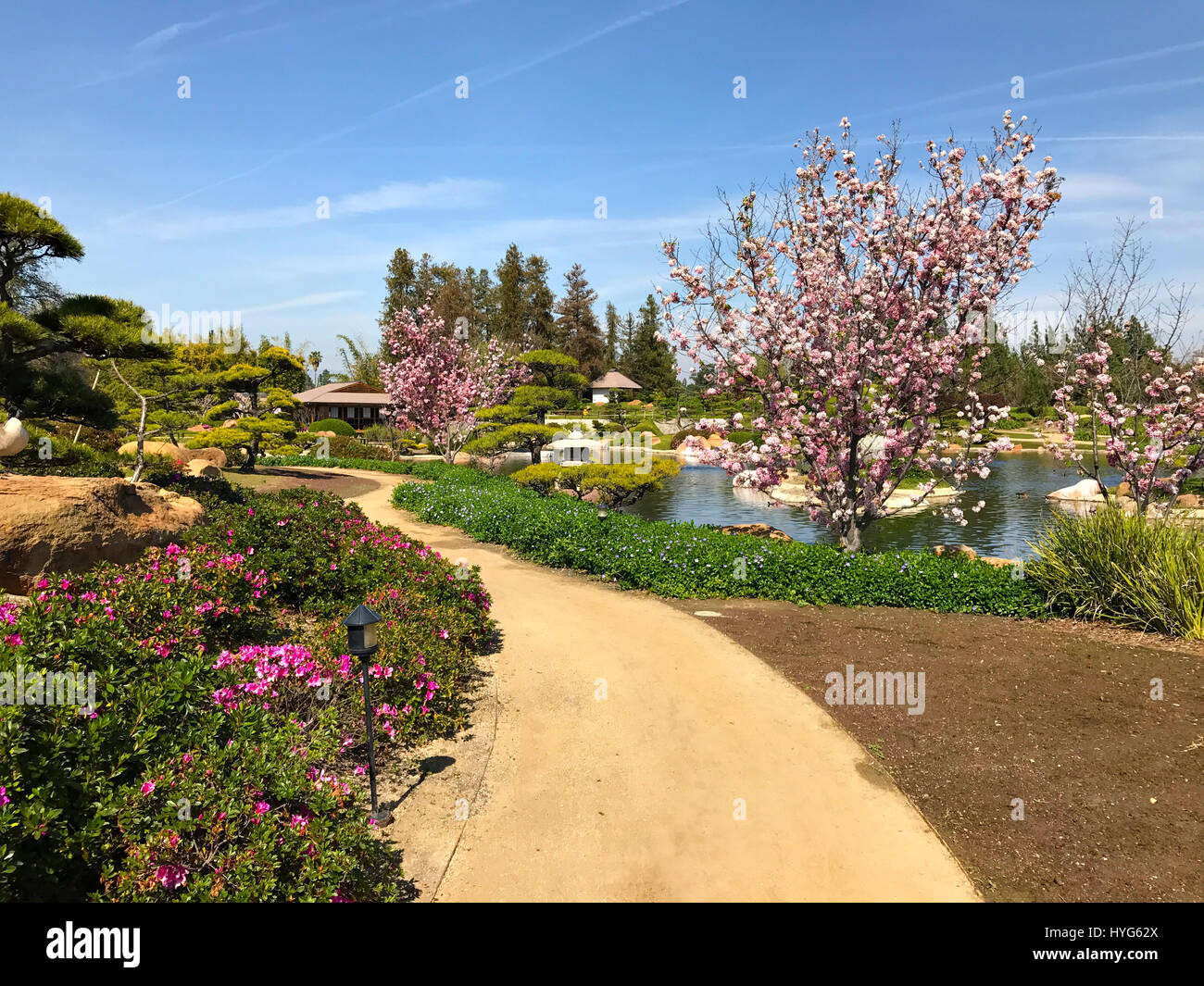 Beautiful flowers and trees in Japanese Garden Stock Photo - Alamy