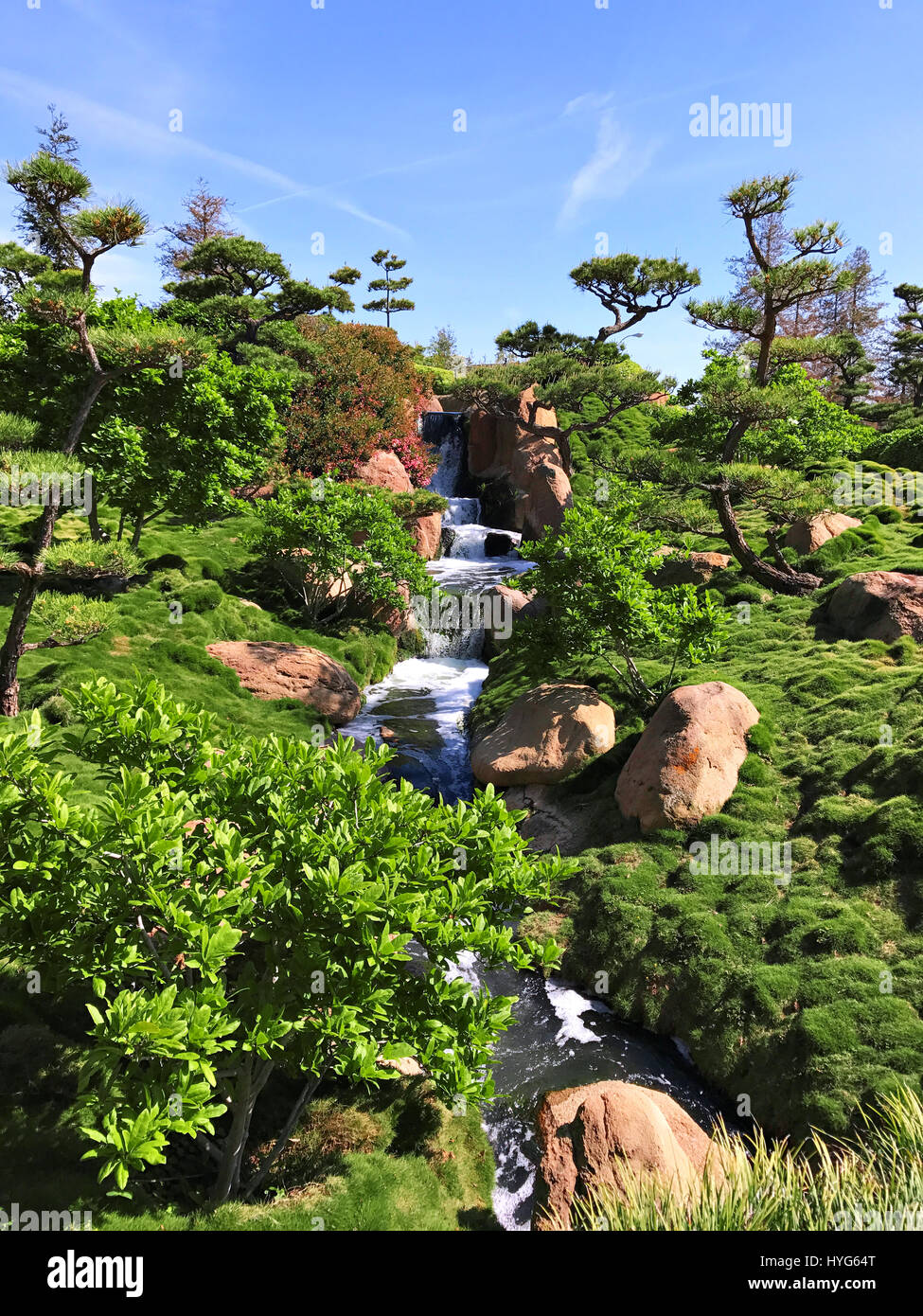 Beautiful flowers and trees in Japanese Garden Stock Photo - Alamy