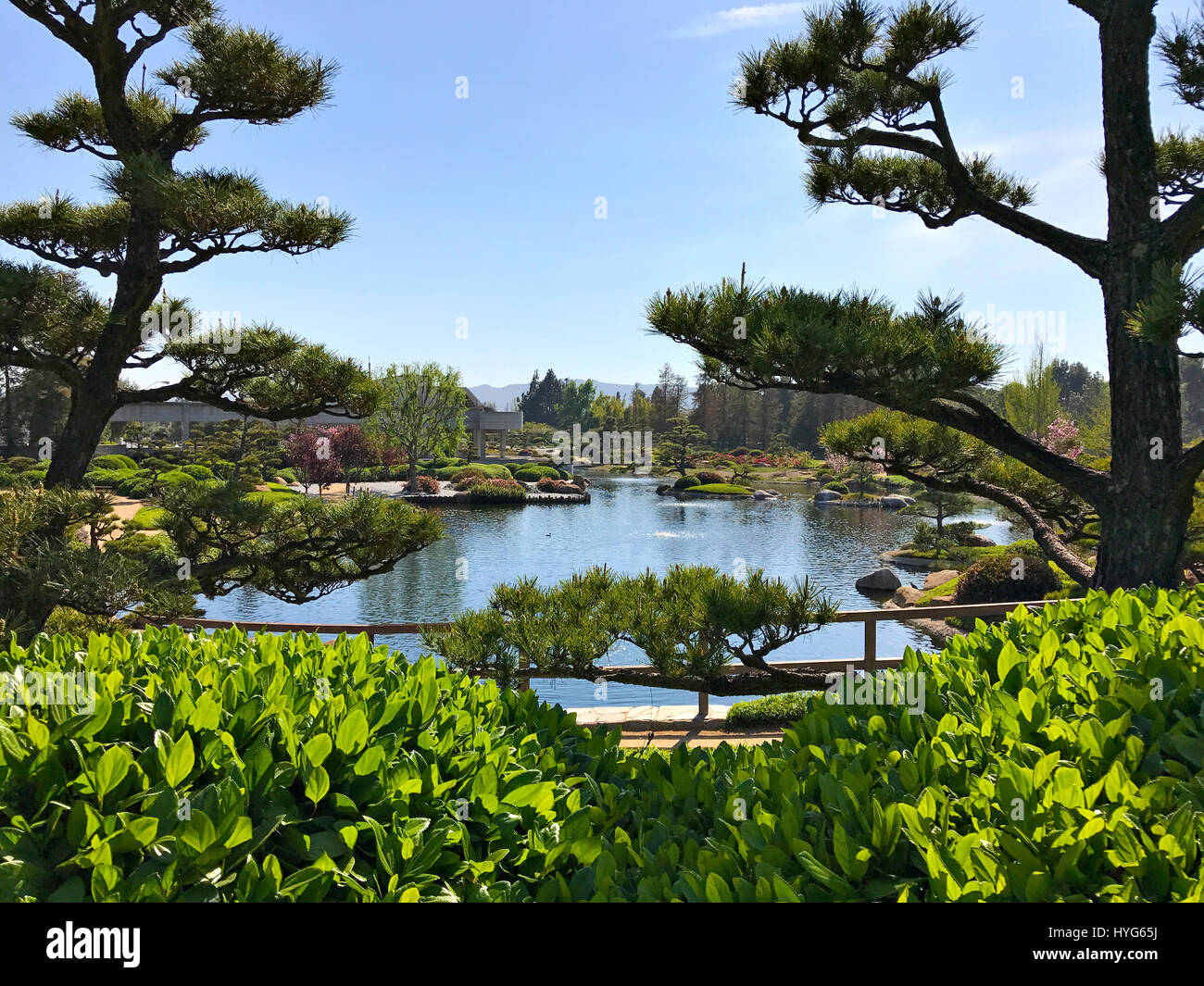 Beautiful flowers and trees in Japanese Garden Stock Photo - Alamy