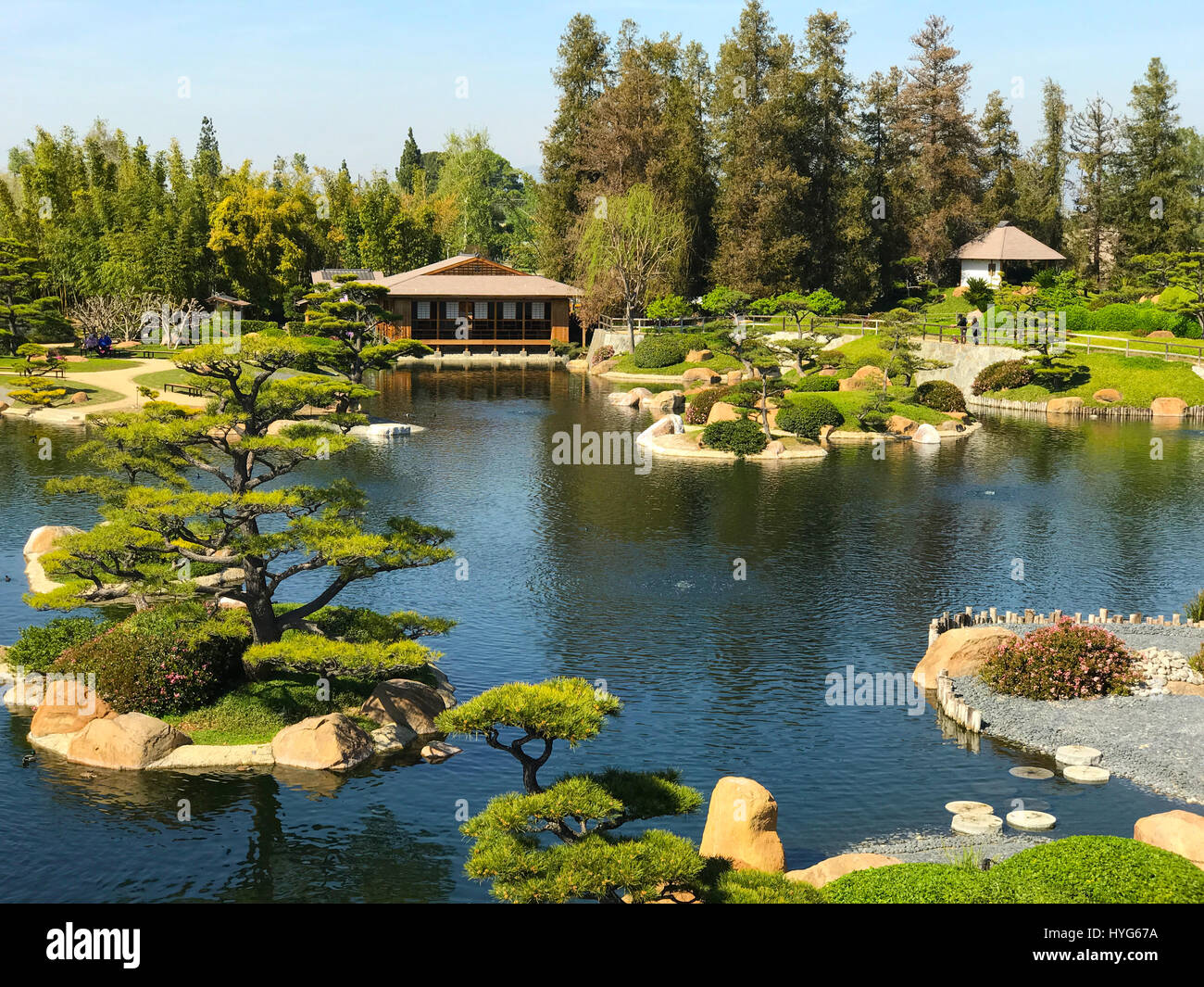 Beautiful flowers and trees in Japanese Garden Stock Photo - Alamy