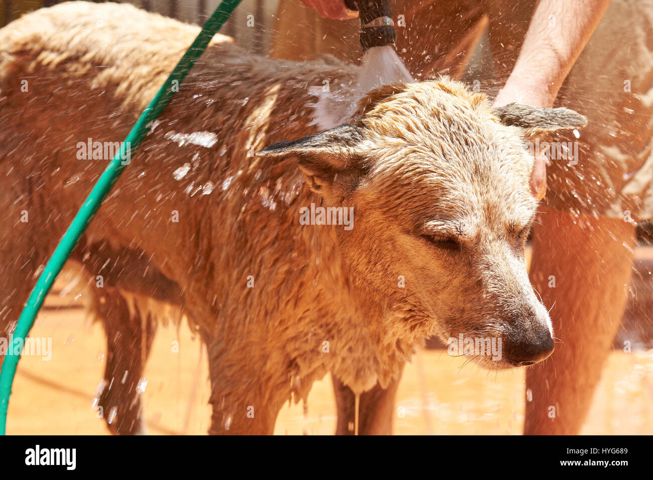 Big cleaning day hi-res stock photography and images - Alamy