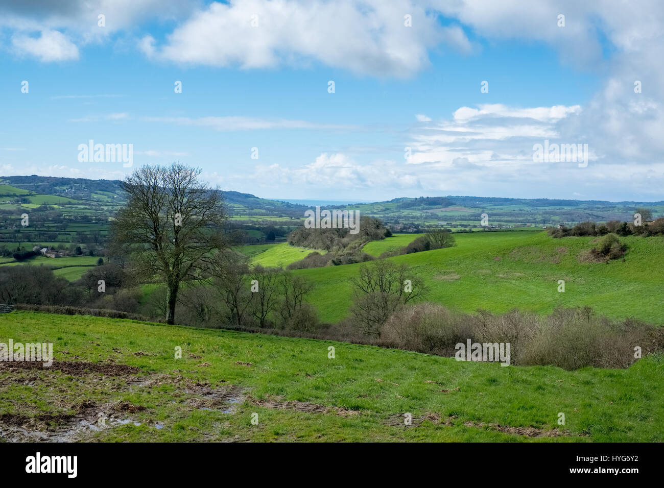 Undulating field hi-res stock photography and images - Alamy