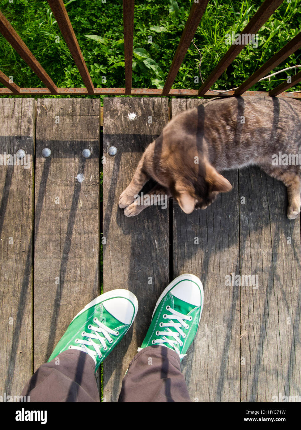 Country cat hi-res stock photography and images - Alamy