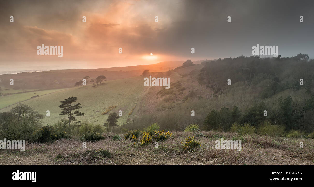 Mottistone common hi-res stock photography and images - Alamy