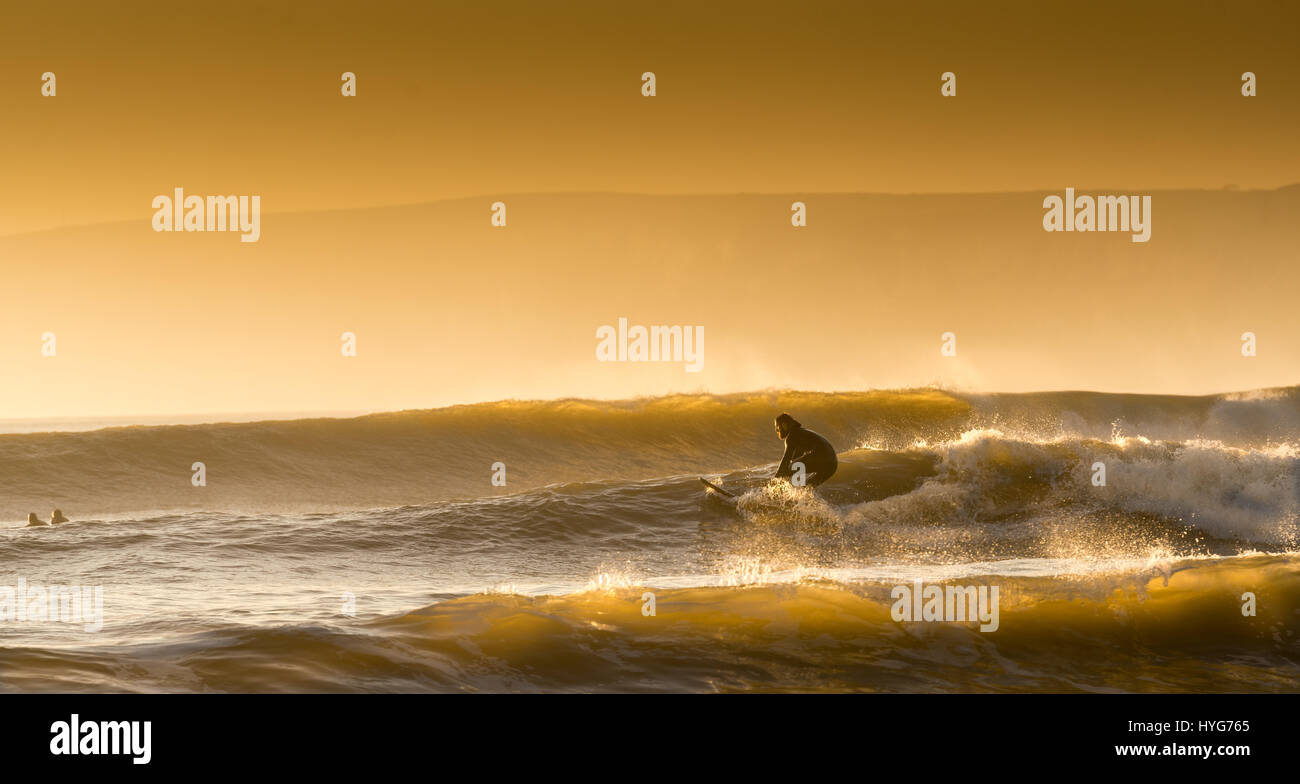 Surfer catching the last waves before Sundown on the Isle of Wight ...