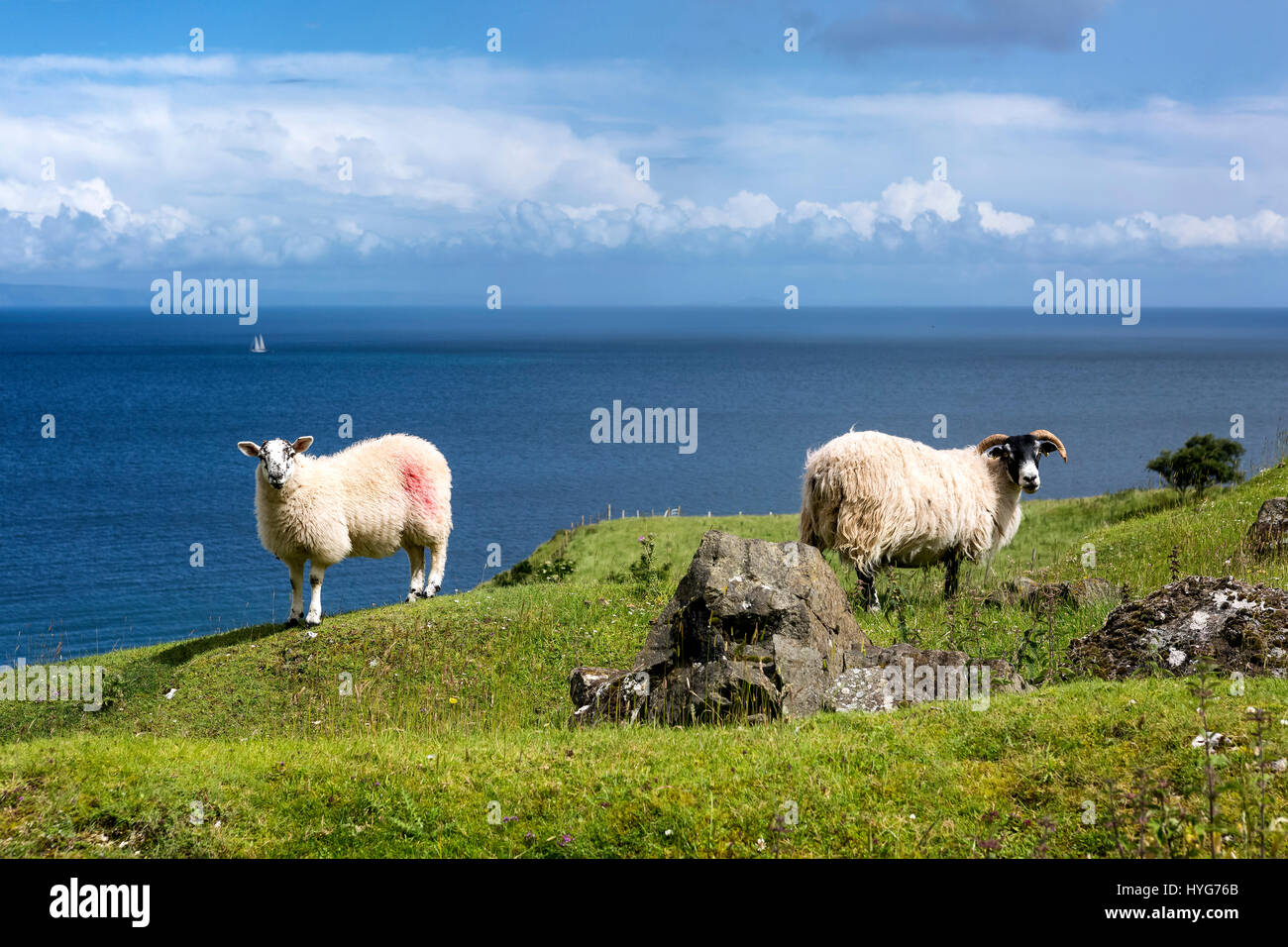 Garron Point, County Antrim, Northern Ireland Stock Photo - Alamy