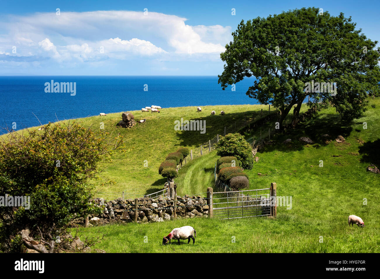 Garron point hi-res stock photography and images - Alamy