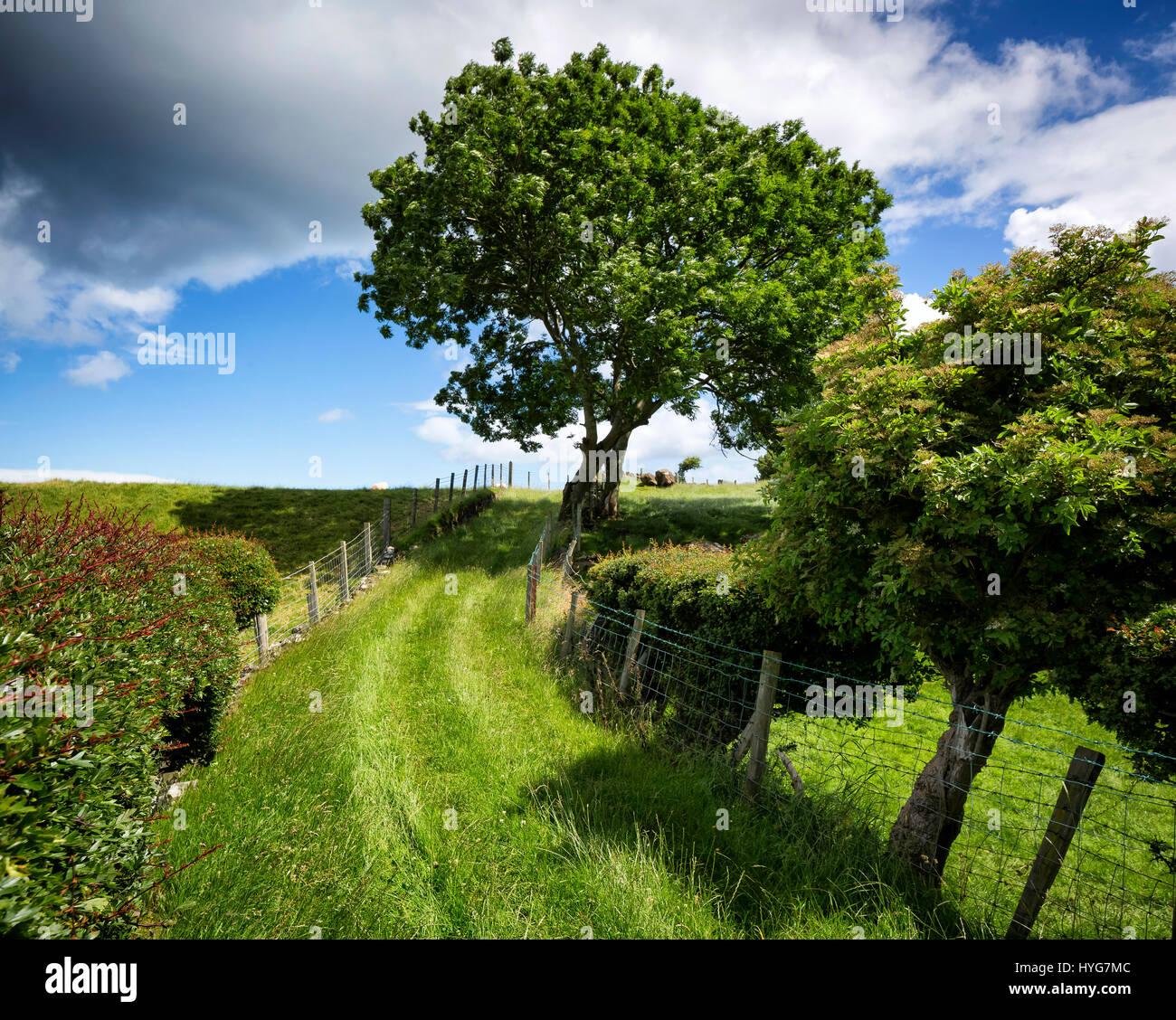 Antrim coast road at garron point hi-res stock photography and images ...