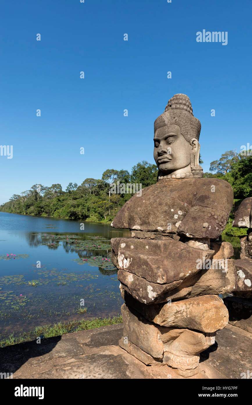 Guardian forest hi-res stock photography and images - Alamy