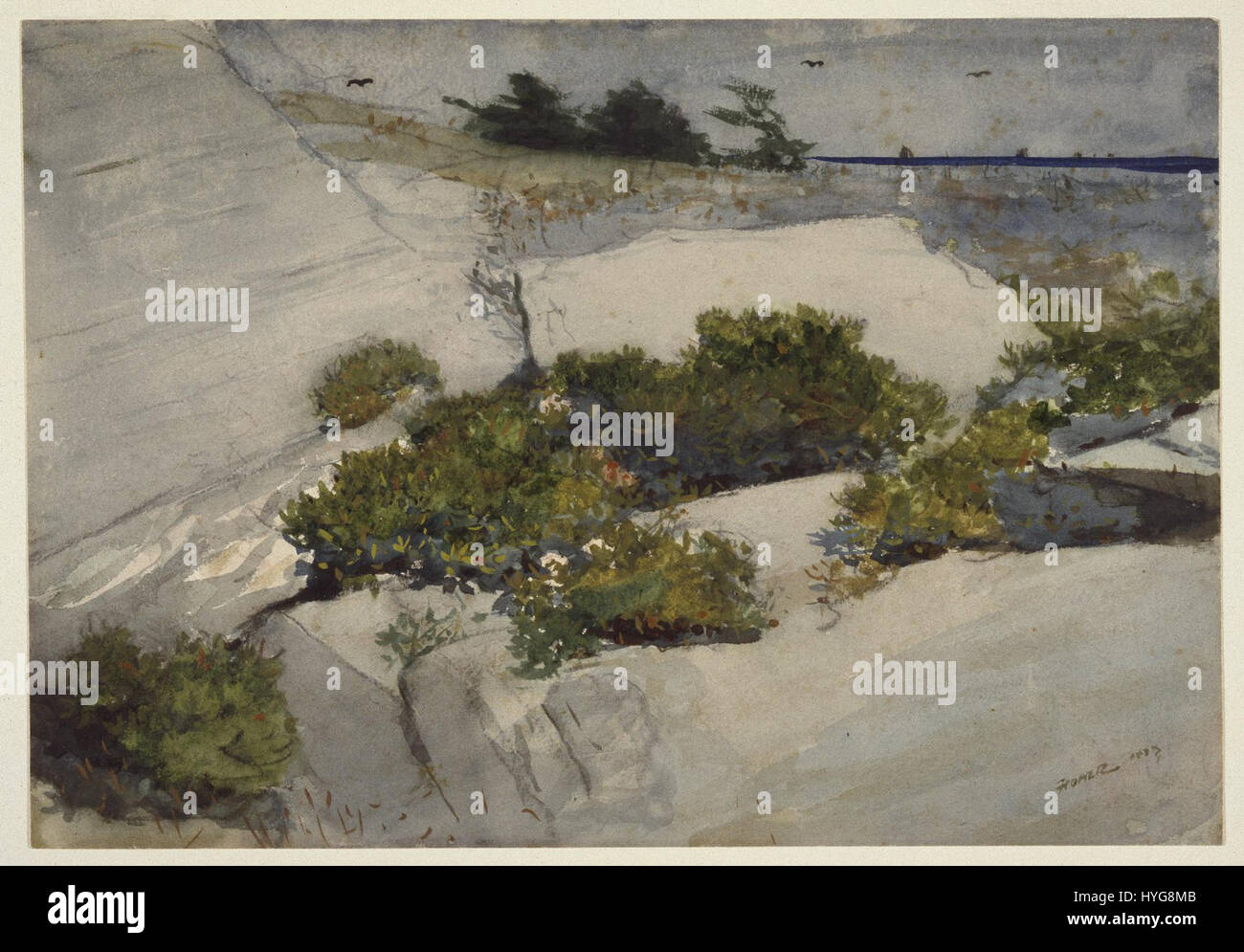 Maine Cliffs By Winslow Homer Depicts A Rugged Coastal Landscape In