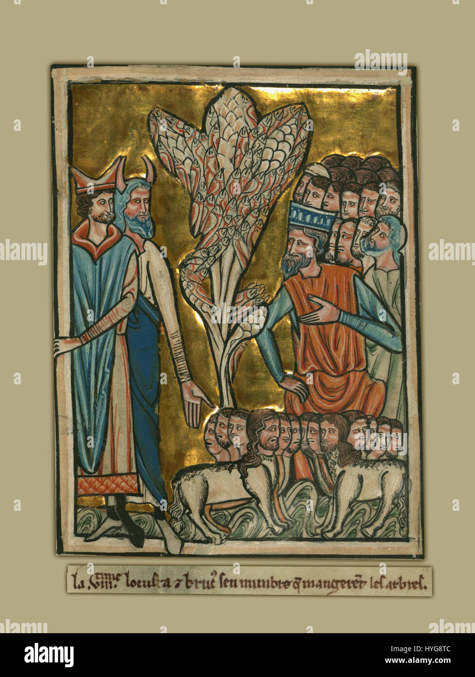 Plague of locusts egypt hi-res stock photography and images - Alamy