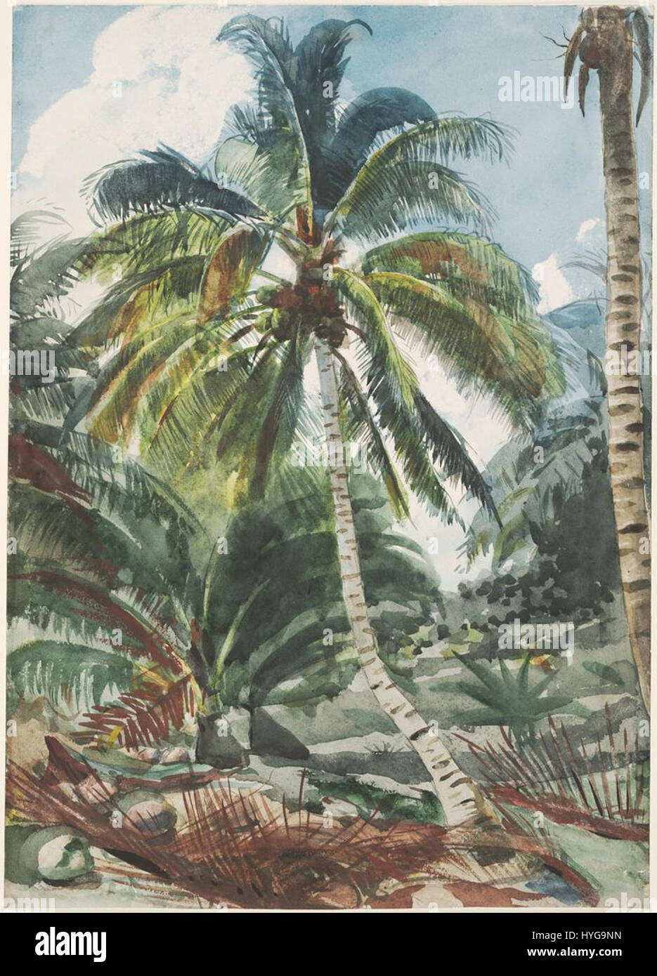 Winslow Homer’s 'Palm Trees, Bahamas' captures the tropical scenery of ...