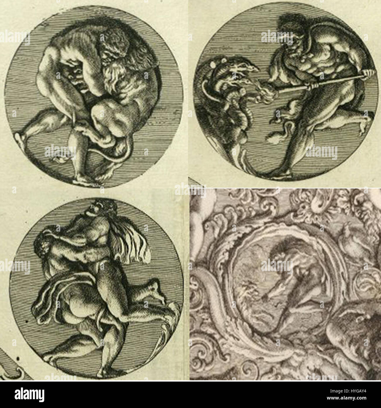 Farnese pietro hi-res stock photography and images - Alamy