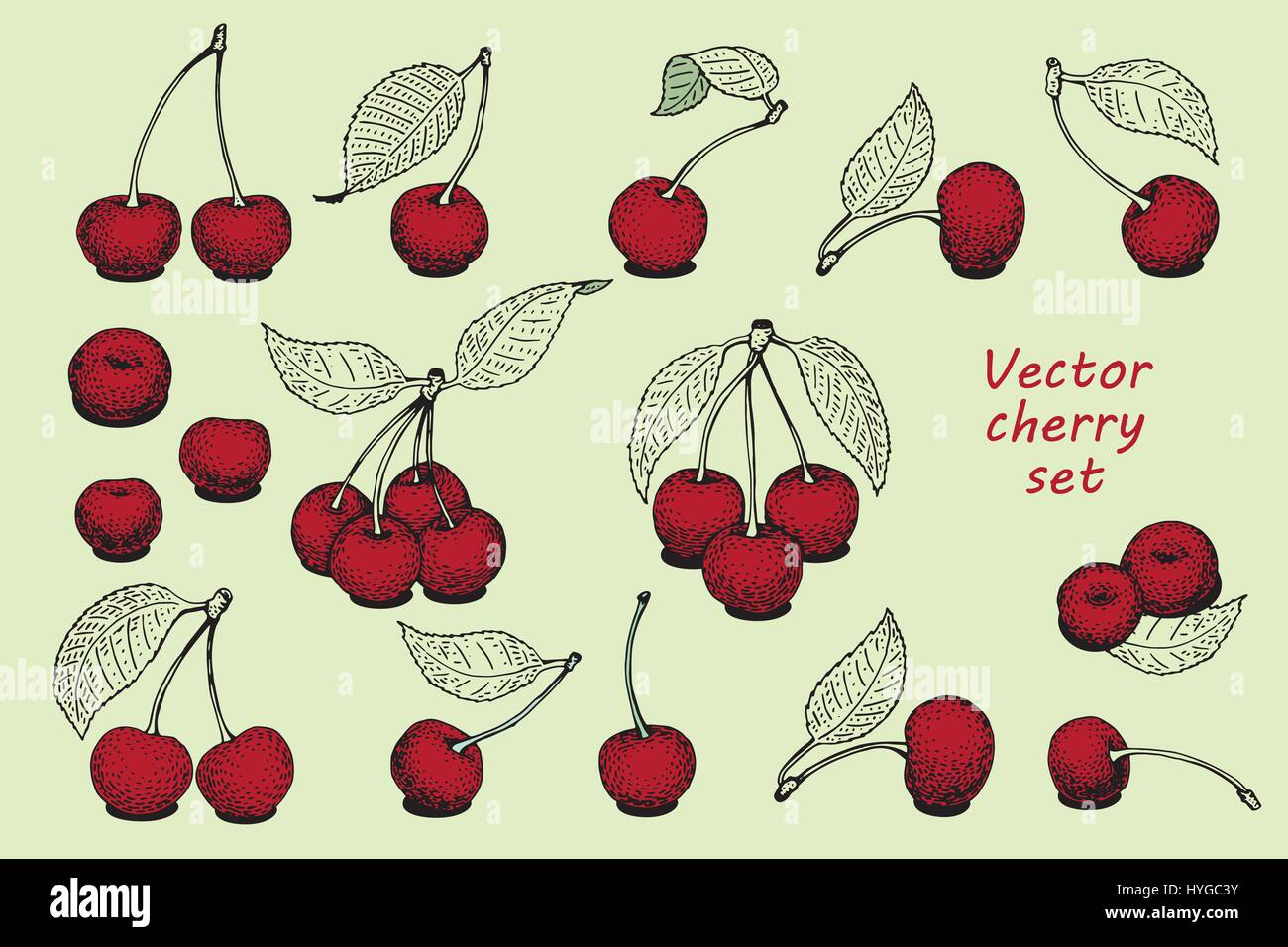 vector cherry logo template. Can be use for background, design ...