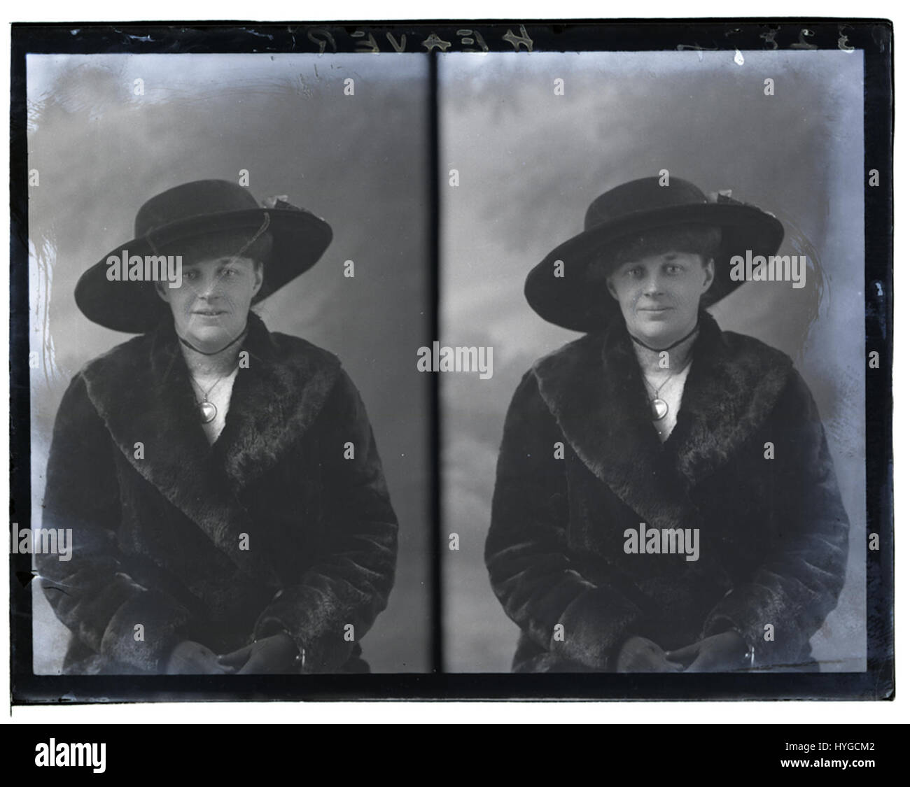 Heaver hi-res stock photography and images - Alamy