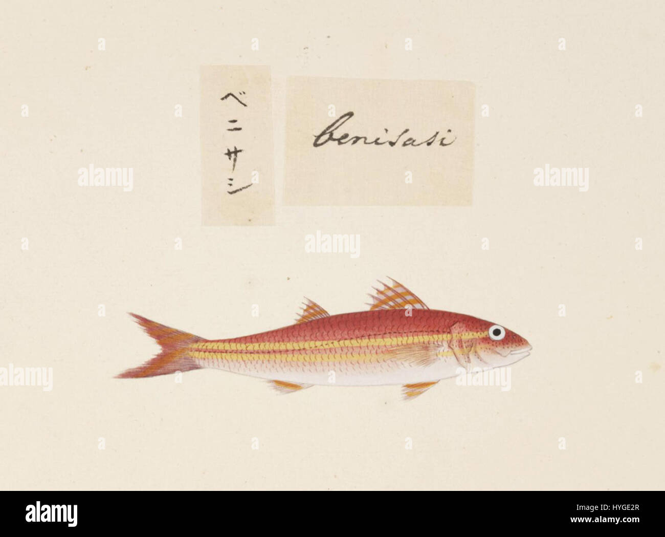 Inaccurate hi-res stock photography and images - Alamy